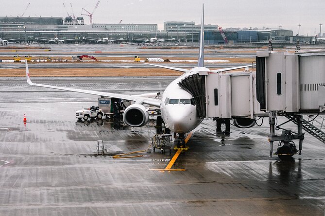 Private Transfer from Paris to CDG and Orly Airport - Final Thoughts