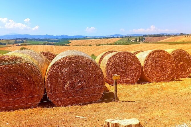 PRIVATE TRANSFER from Siena to Florence with stop in S Gimignano & Monteriggioni - The Sum Up