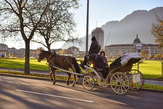 Private Trip from Geneva to the Swiss Capital - Bern & Paragliding in Interlaken - FAQs