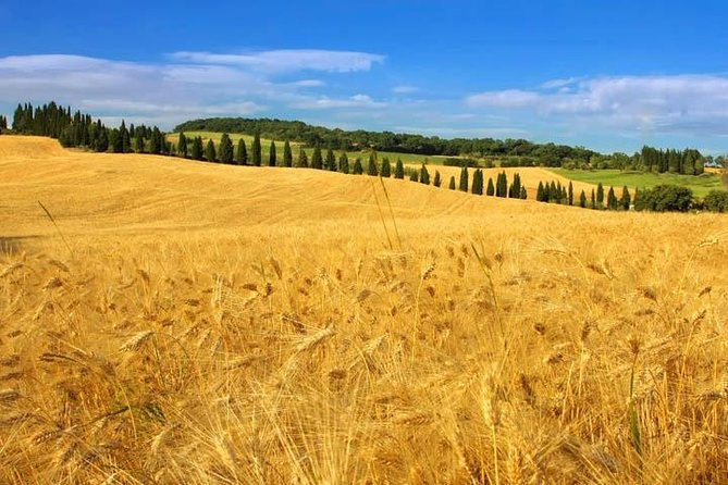 Private: Tuscany Day Tour from Rome with Optional Wine Tasting - Practical Details and Considerations