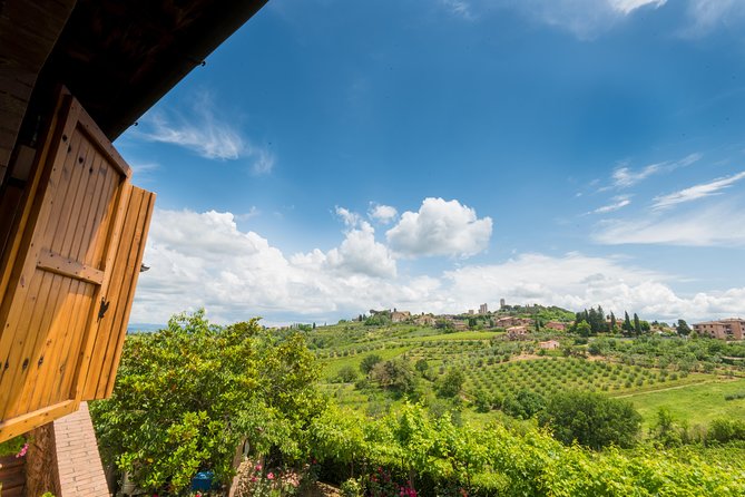Private wine & EVO Oil Tasting with Tuscan Meal - Final Thoughts