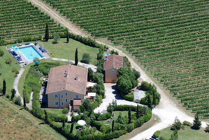 Private wine tour on the magical hills of Lucca (2 wineries) - Who Would Love This Tour?