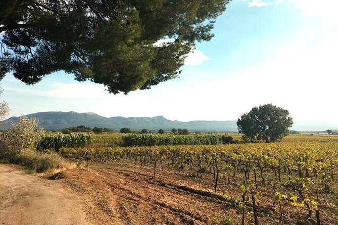 Romantic Couple's Day to Relax in Provence off the beaten path - FAQ