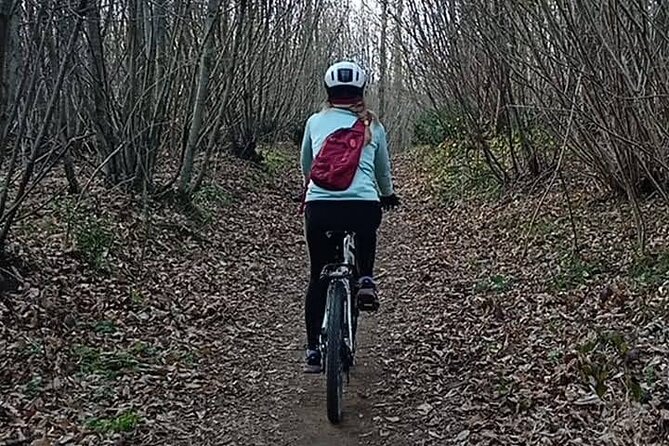 Rome: Castelli Romani Day Trip by Train and E-Bike - Final Thoughts