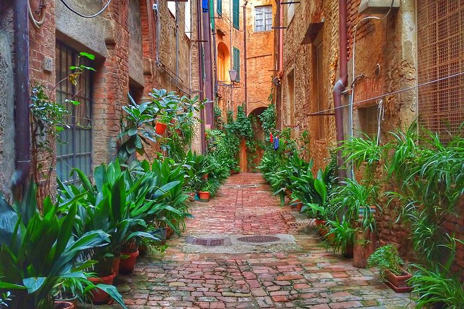 Secret Siena Walking Tour - Frequently Asked Questions