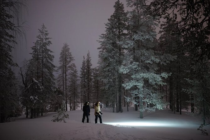 Ski Trekking under the Northern Lights - The Sum Up