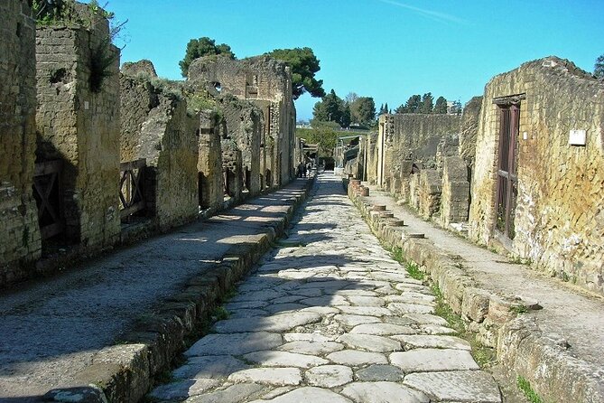 Small Group Tour Pompeii and Herculaneum from Rome - FAQ