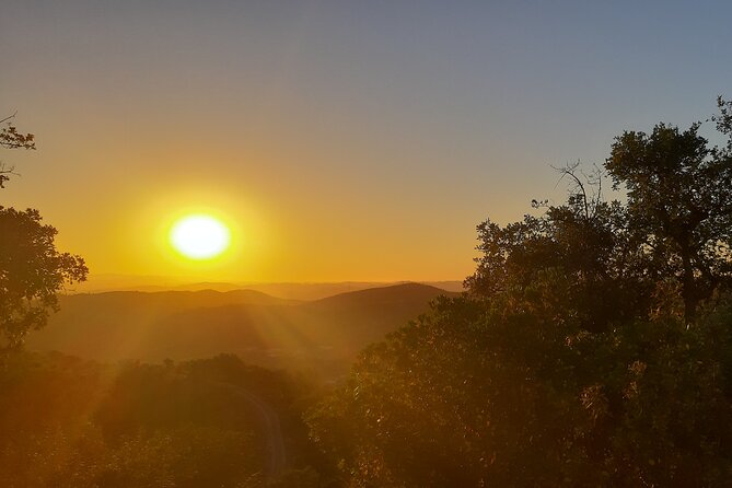 Sunset Safari 4H - FAQ