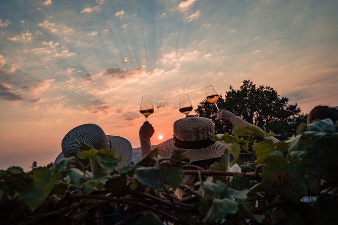 Sunset wine tasting in vineyard - FAQs