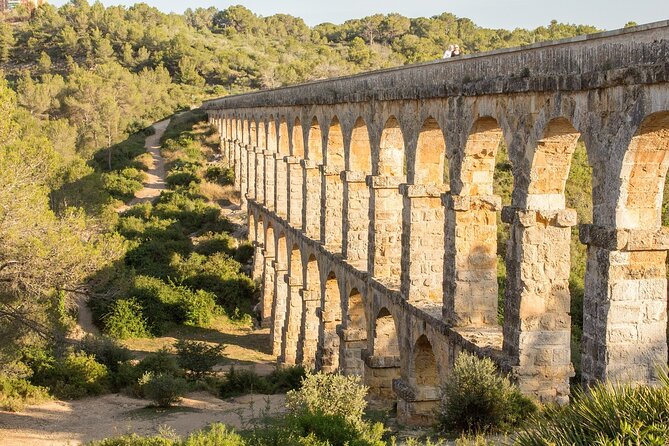 Tarragona: History & Olive Oil tasting from Barcelona - Final Thoughts