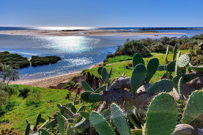 The Essential Algarve Relocation Tour! - FAQ