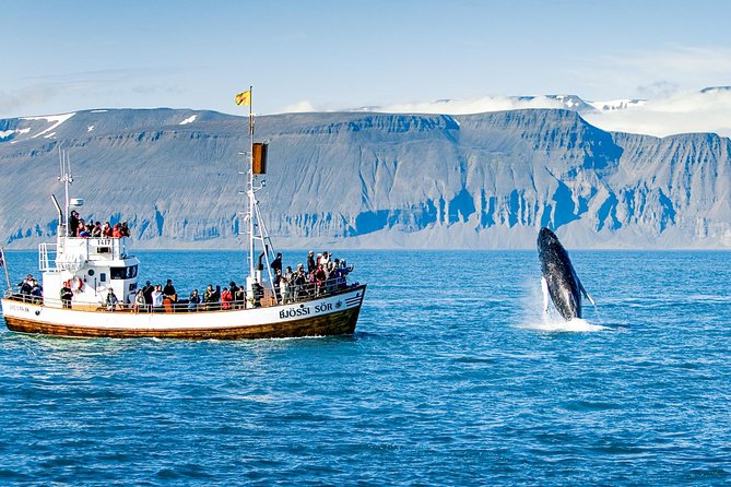 Traditional Oak Ship Whale Watching Tour From Husavik - FAQ