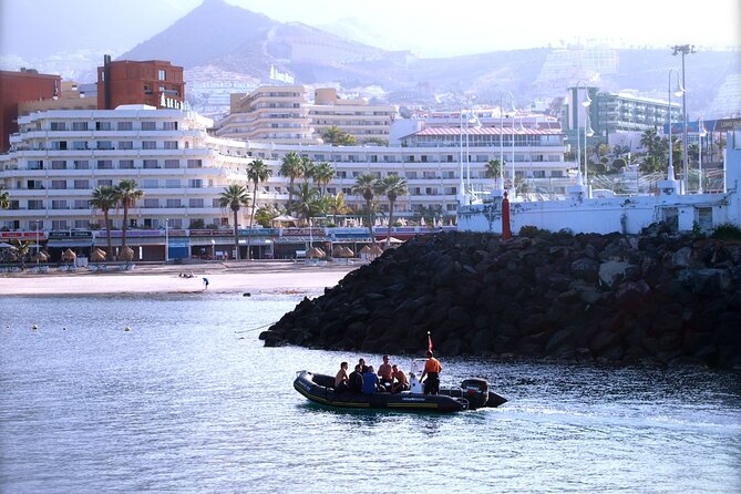 Try Scuba Diving in a turtle area (boat) - FAQ: Practical Questions About the Tour