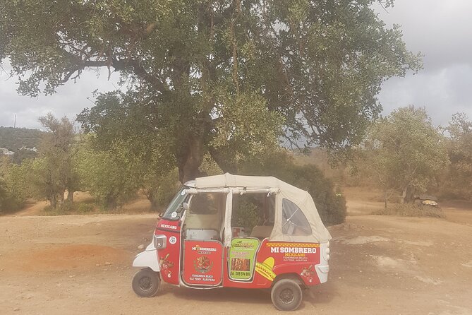 Tuk tuk tour- the best way to see coast and country side - Practical Details & Booking Tips