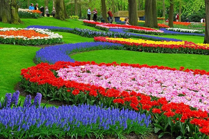 Tulip Experience and Keukenhof Flower Gardens Tour from Amsterdam - FAQ