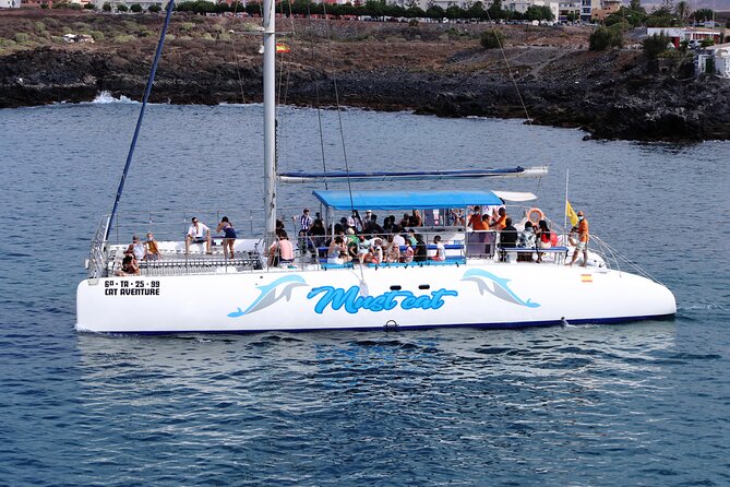 Whale & Dolphin Watching With Mustcat Virgin Coast Trip On a Large Catamaran - FAQ