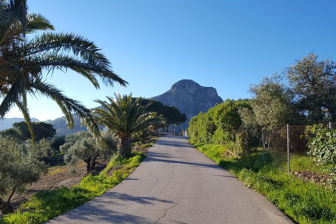Wine & Tapas tour by electric bike (e-bike) including Ronda pickup (full day) - The Sum Up: Who Should Consider This Tour?