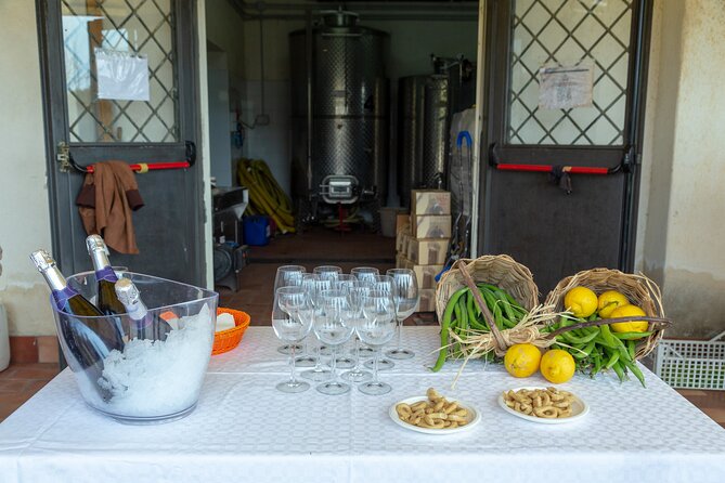 Wine Tasting in Campi Flegrei from Naples - Who is This Tour Best For?