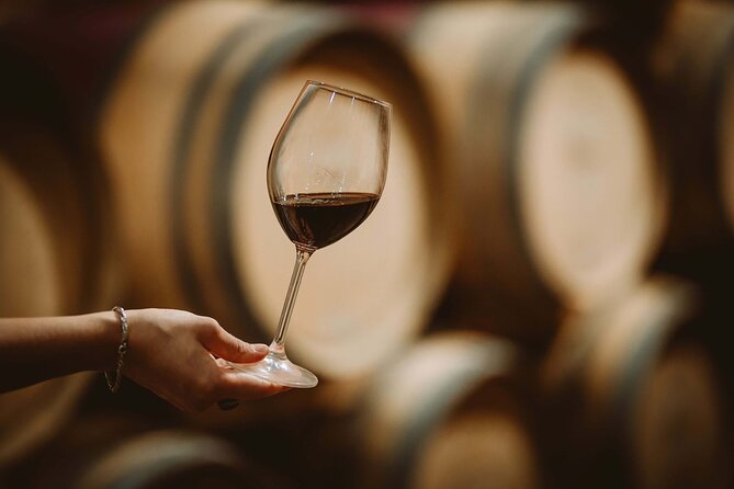 Wine Tasting & Shuttle Service - Who Should Book This Experience?