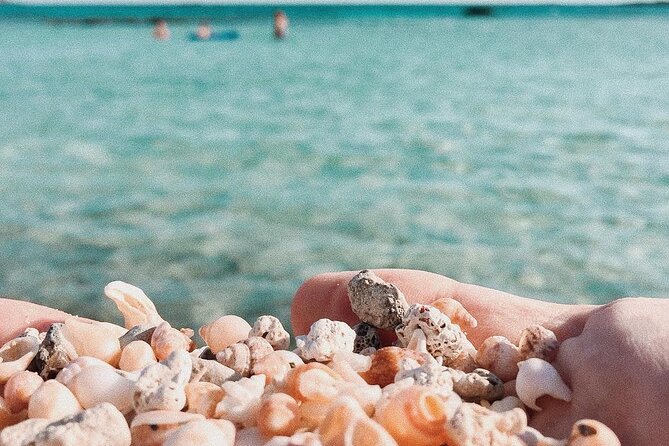 Your Tailored Elafonisi Escape. Luxury Day Tour from Elounda. - FAQs