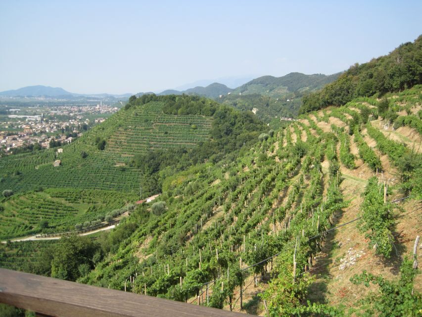 8-Hour Prosecco Wine and Tastings Tour from Venice or Padua - Visiting the Heart of Prosecco Country