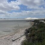 8 Hours Visit to the Camargue and the Salins dAigues-Mortes - Who Will Love This Tour?