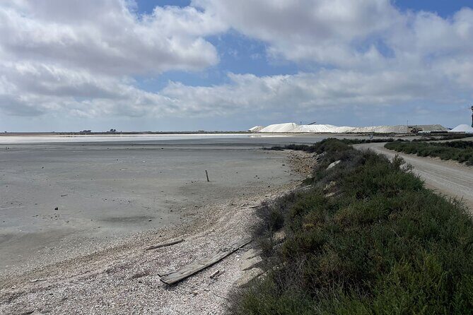 8 Hours Visit to the Camargue and the Salins dAigues-Mortes - Who Will Love This Tour?
