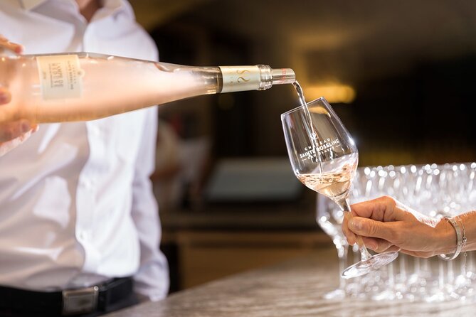 Calanques Of Cassis, the Village and Wine Tasting - Who Should Book This Tour?