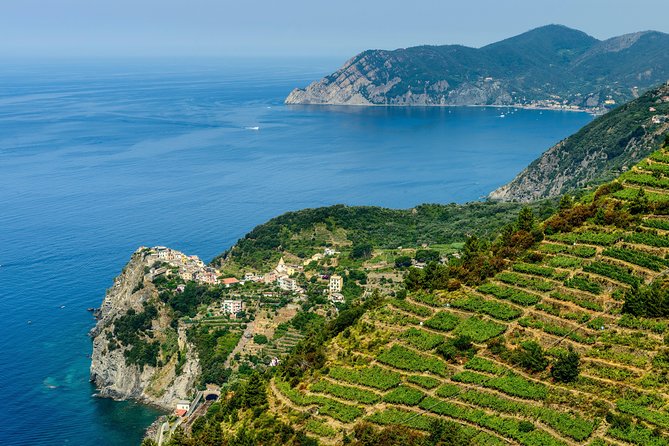 Cinque Terre and Pisa Shared Shore Excursion from Livorno - Final Thoughts