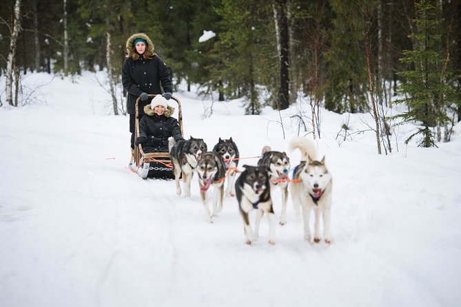 Dogsled Adventure Kiruna - Final Thoughts