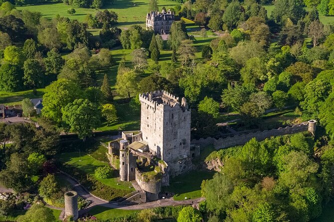 Easy Access Blarney Stone and Castle Gardens Tour - Who Should Consider This Tour?