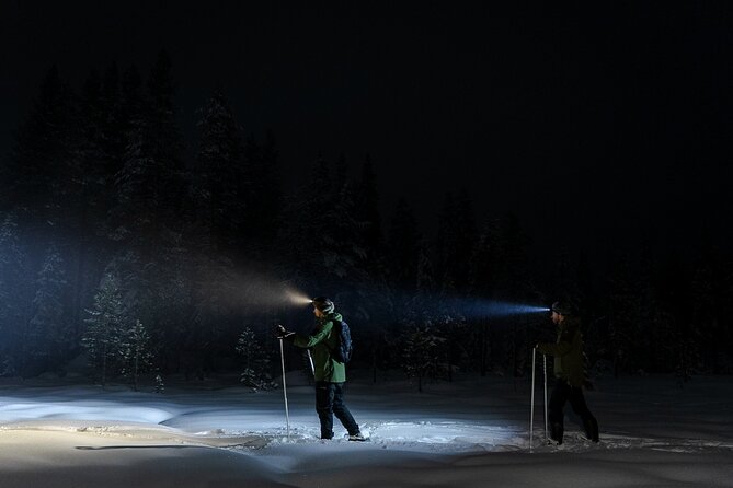 Evening Ski Trek to the Wilderness - Extra Small group - Final Word