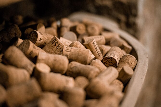 Hidden Wine Cellars Vienna - on the tracks of the Viennese wines - Who Should Book This Tour?