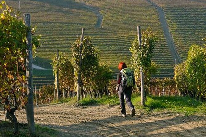 Hiking and wine tour starting from Alba - FAQ