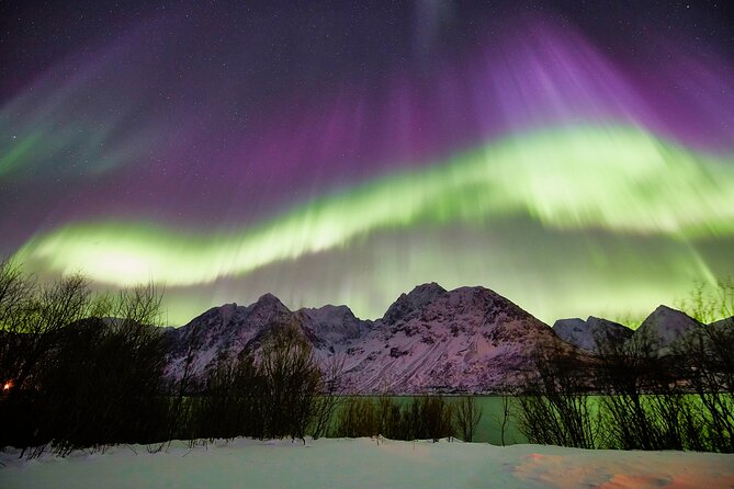 Minivan Northern Lights excursion (8 guests per minivan) - Final Thoughts: Is This Tour for You?