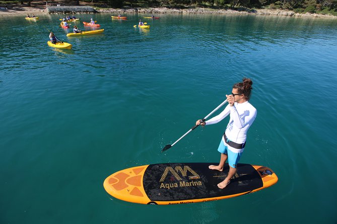 Morning Stand Up Paddle Tour in Split - Price and Value Analysis