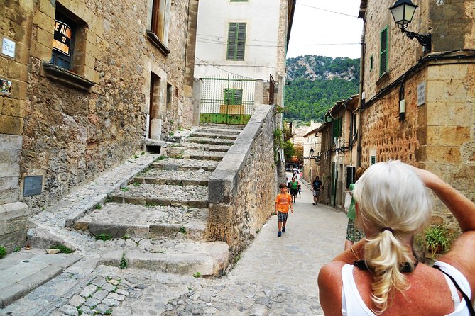 Palma de Mallorca Shore Excursion: Private Tour of Valldemossa, Soller and Serra de Tramuntana - Who Will Love This Tour?