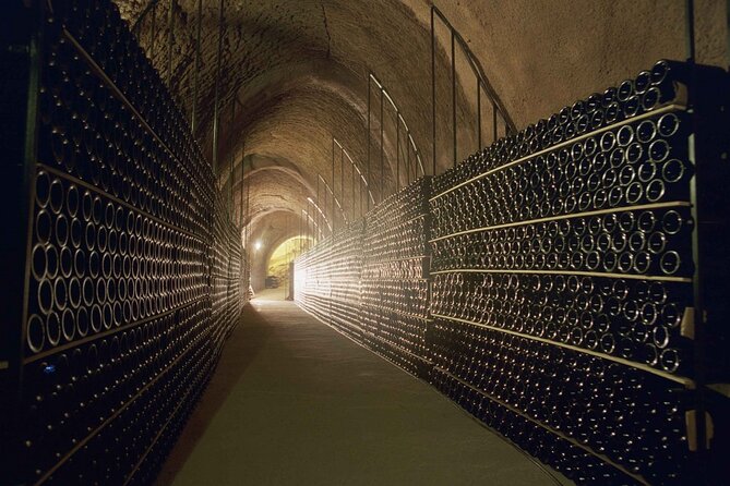 Premium Ribera del Duero tour with winemaker-guide - Who should consider this tour?