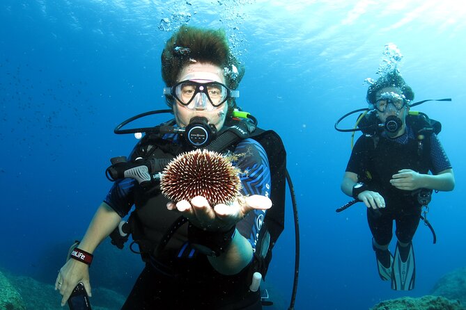Private Discover scuba diving for beginners in Athens with pickup - FAQ: Discover Scuba Diving in Athens