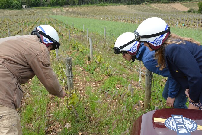 Private Guided Sidecar Tour in Burgundy from Meursault - FAQs