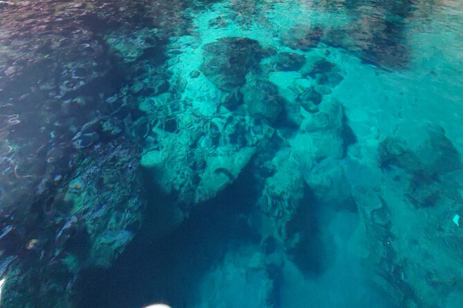 Private Half Day Boat Sazani Island & Haxhi Aliu Cave - Frequently Asked Questions