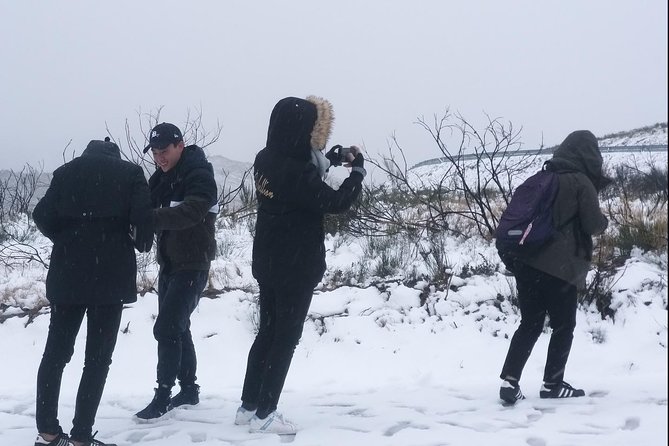 Private Tour through Serra da Estrela Park and its famous cheese - What to Keep in Mind