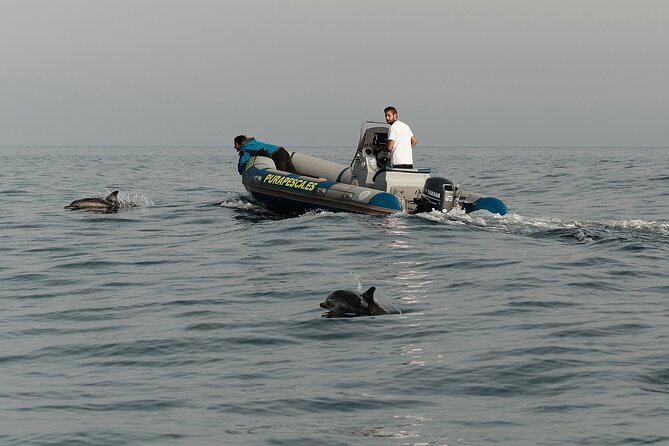 Private Tour with Dolphin Watching in Algeciras Bay - FAQ