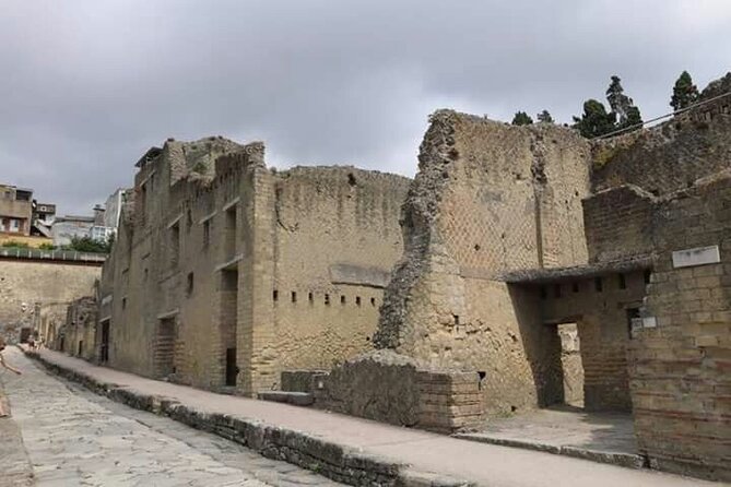 Transfer From Naples Train Station/area to Sorrento 2hr stop in Herculaneum - The Sum Up