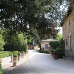 A 16th-century farmhouse between the Crete Senesi and Val d'Orcia, a tour through history and wine. - Inside the Winery and Cellars