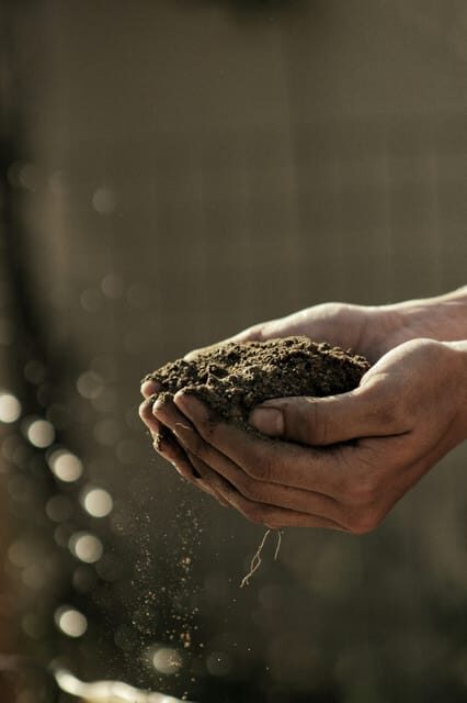 "A Day as a Farmer" Experience - What You Can Expect: A Full Day of Farm Life