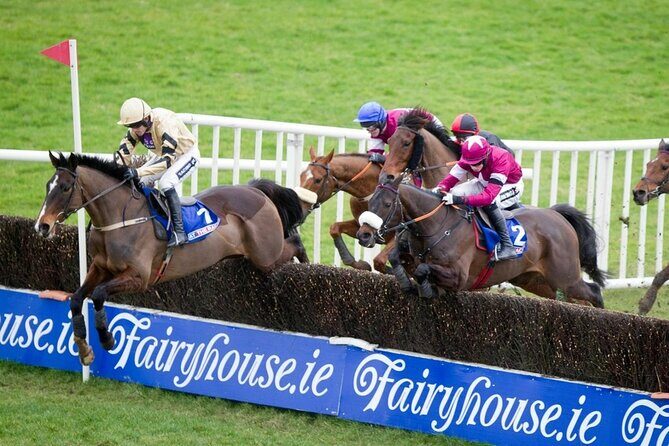 A Day At The Races & the Horse Lovers Tour - What to Expect from the Tour