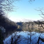 A Day Hike in Mervent Forest (Vendée) - The Value of Guided Outdoor Activities