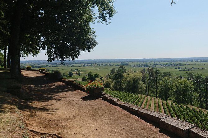 A day in Saint-Émilion and its Châteaux in a private tour (Van Luxe) - What Makes This Tour Stand Out