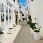 A Guided Day Trip to Tetouan and Chefchaouen from Tangier - Detailed Breakdown of the Itinerary